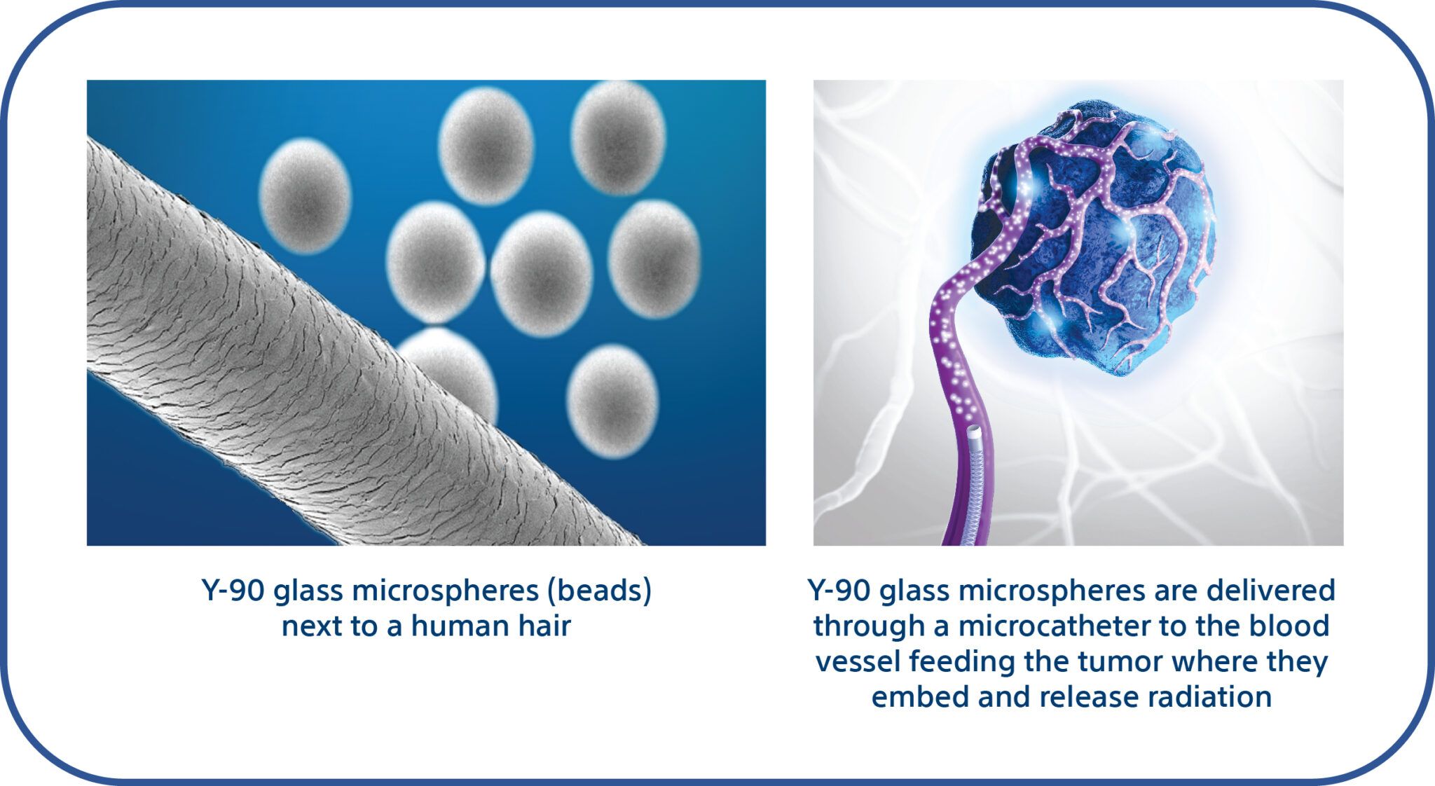 How the Right Foods Can Help Your Brain Heal and Thrive - American ...